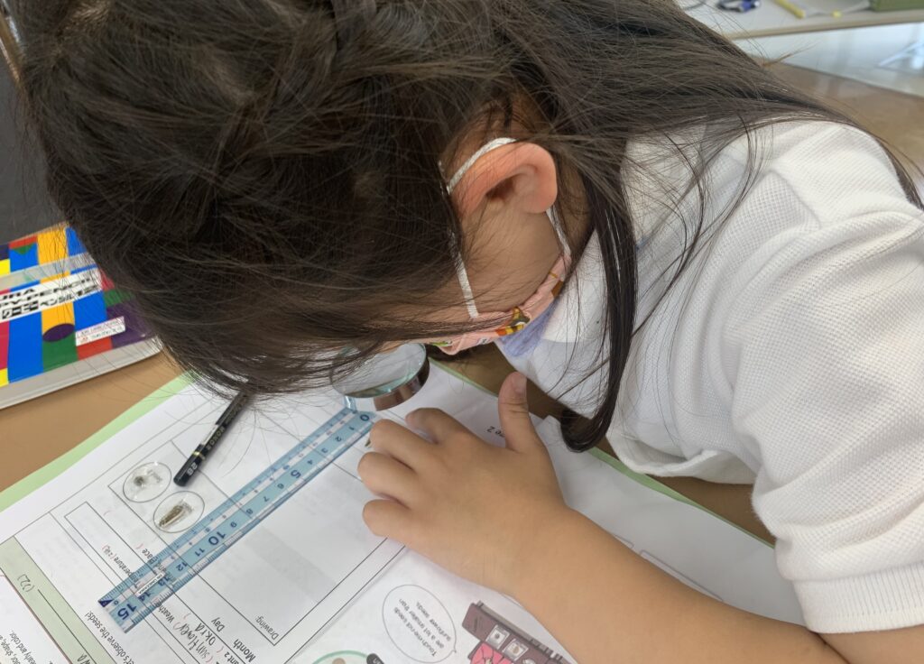 3年生：理科の授業 Grade 3: Science Class | Gunma Kokusai Academy
